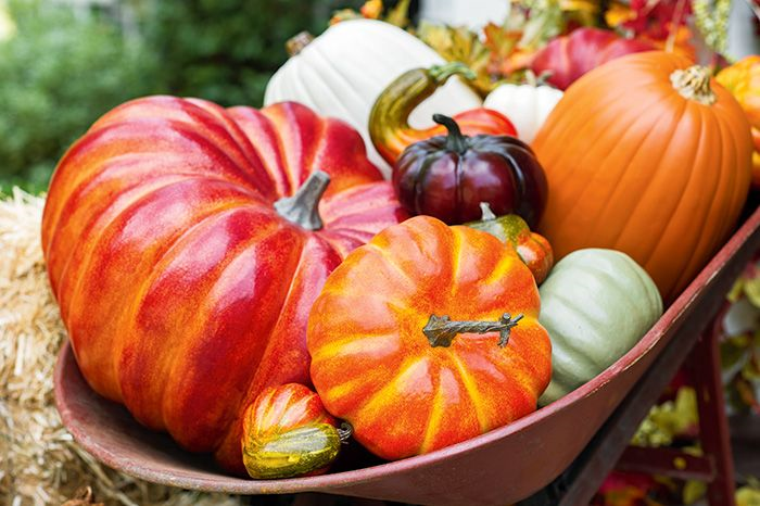 fall-colors | There You Are Jesus!