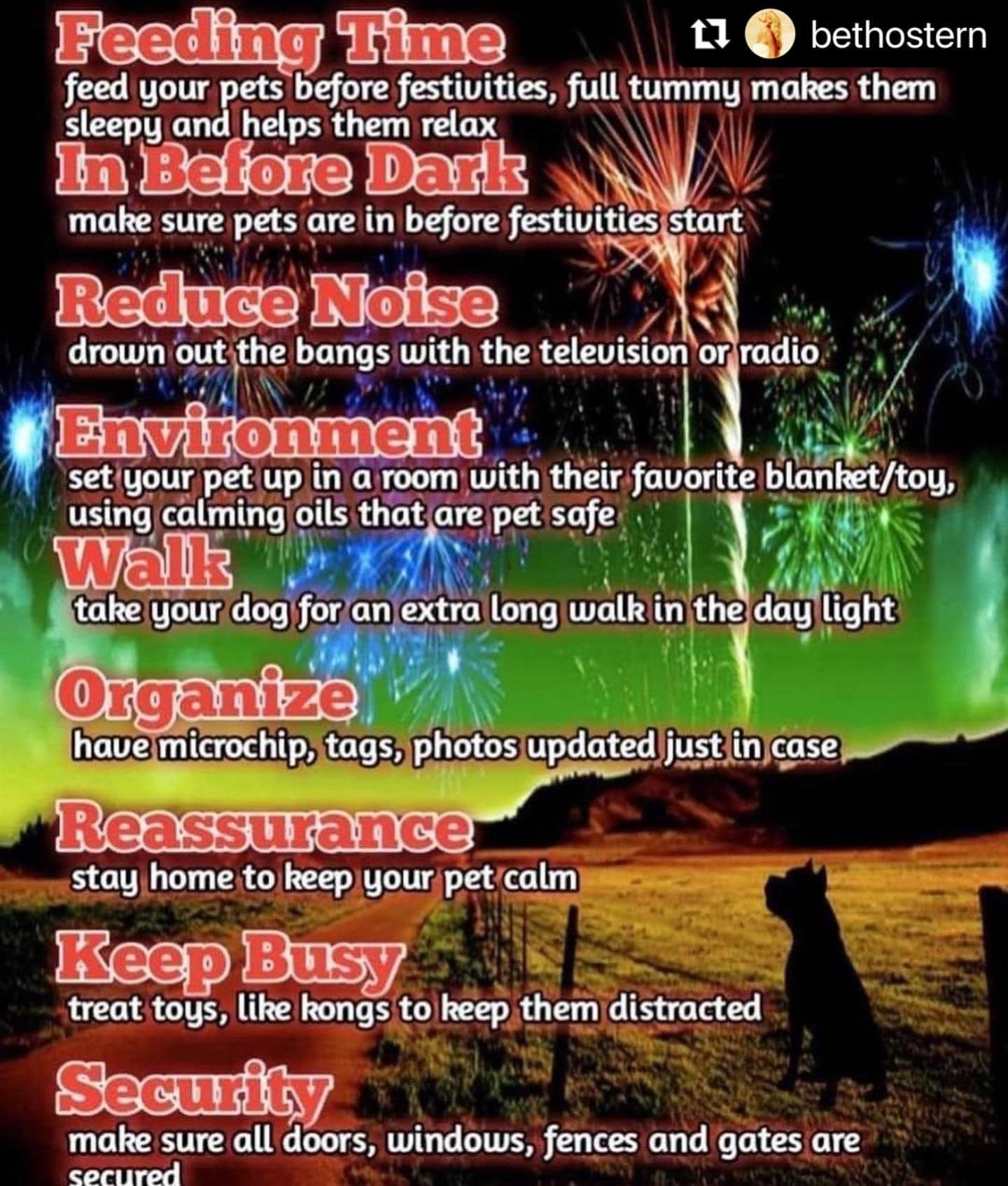 Fireworks Harm Pets & Animals | There You Are Jesus!